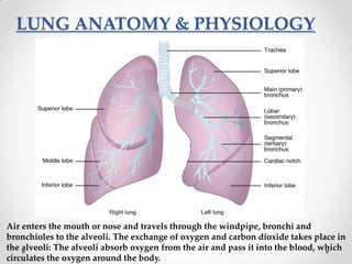 Atelectasis- Easy explanation | PDF