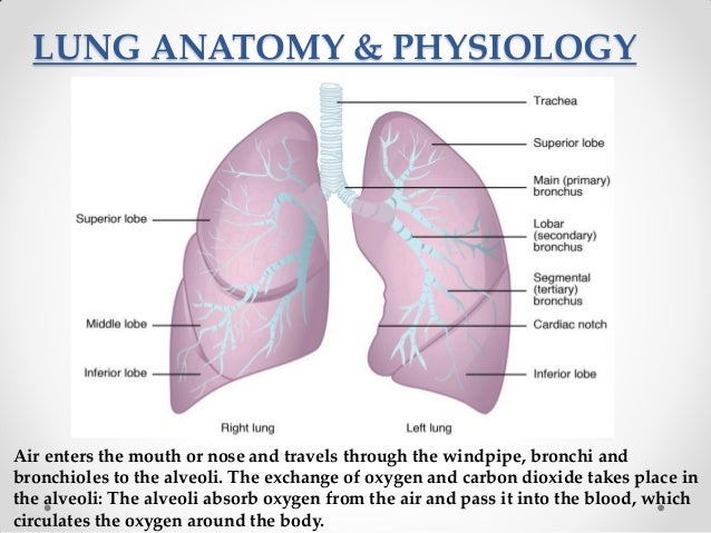 Atelectasis- Easy explanation
