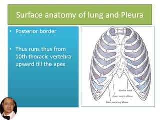 ATELECTASIS LUNG COLLAPSE PART-2 BY DR BASHIR ASSOCIATE PROFESSOR ...