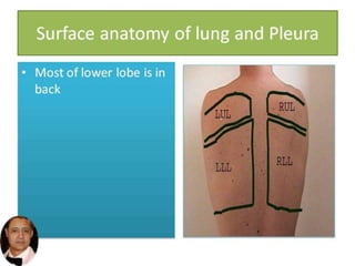 ATELECTASIS LUNG COLLAPSE PART-2 BY DR BASHIR ASSOCIATE PROFESSOR ...
