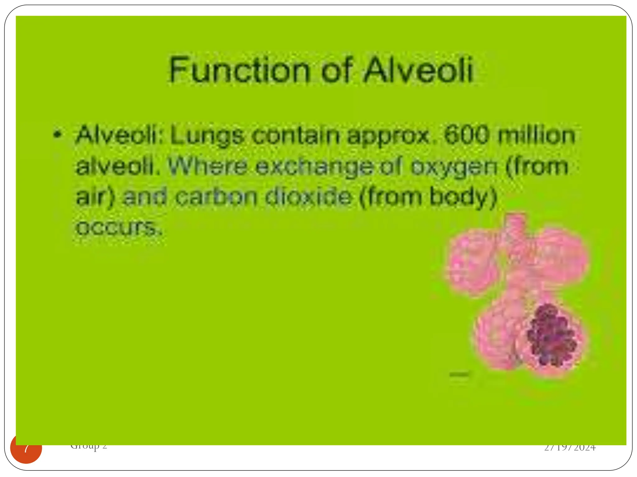 Lower respiratory tract disorder ATELECTASIS | PPT