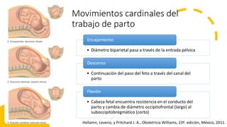 Atención del parto..pptx