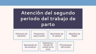 Atencion del parto normal y pelvico (maniobras especiales)1[1].potx