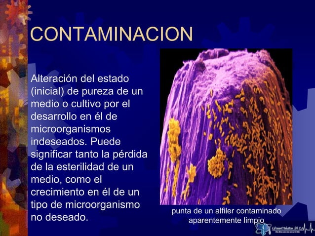 Atencion prehospitalaria bioseguridad y auto proteccion | PPT Atencion prehospitalaria bioseguridad y auto proteccion | PPT
