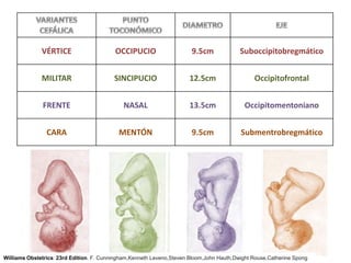Atencion_trabajo_de_parto_ROBLES el chido.pptx
