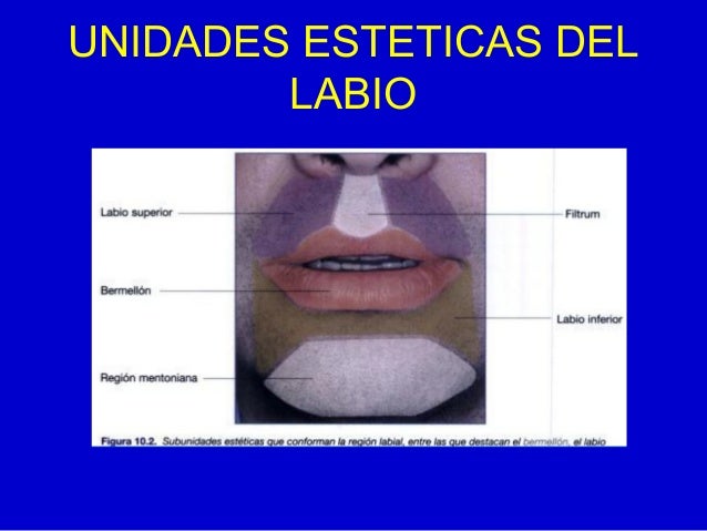 Ateneo trauma de labio superior