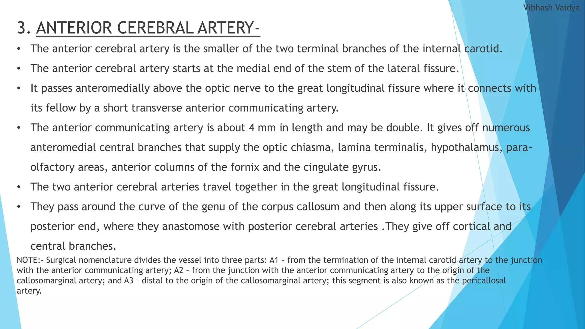 Blood supply of brain | PPTX