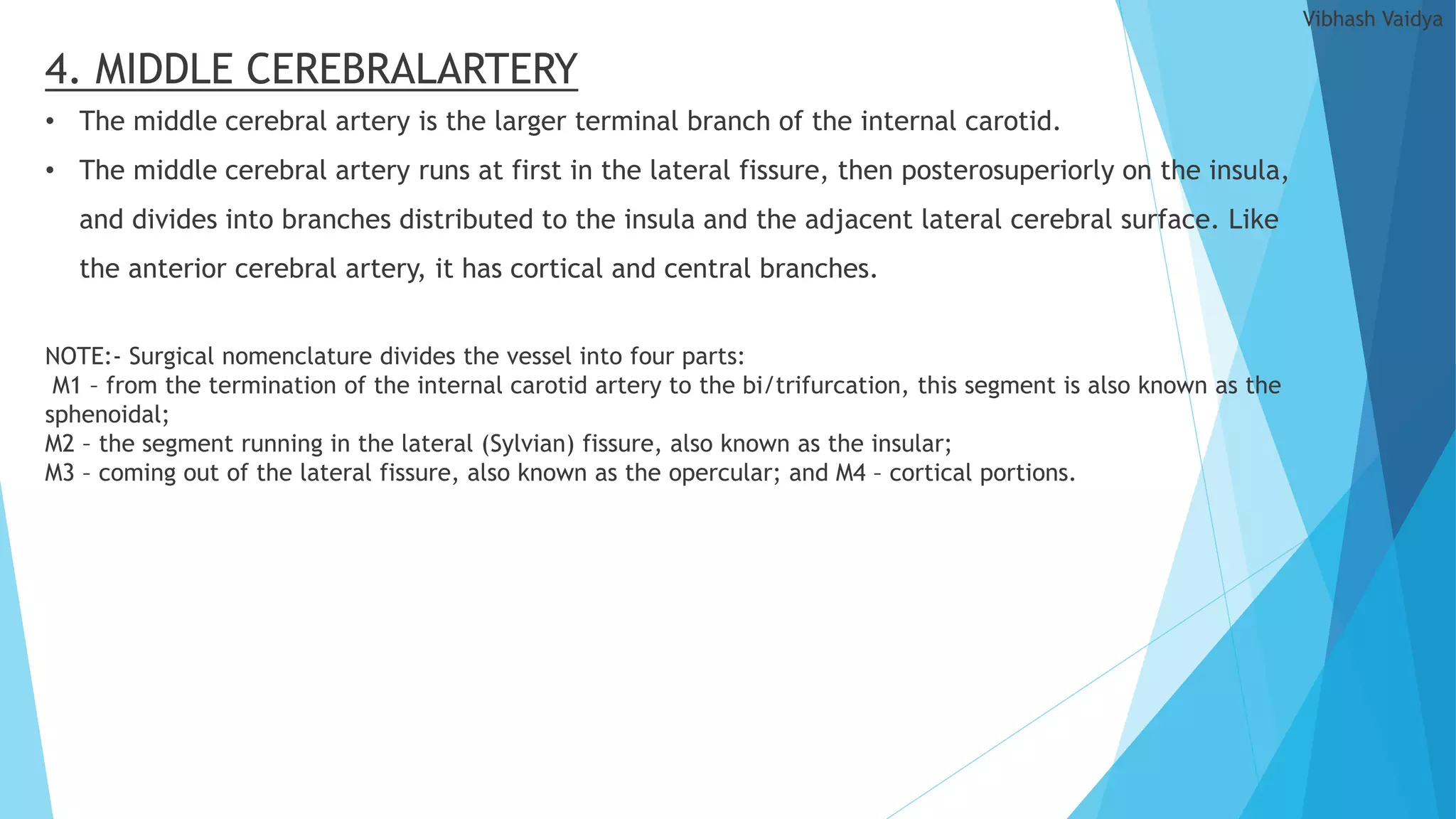 Blood supply of brain | PPTX