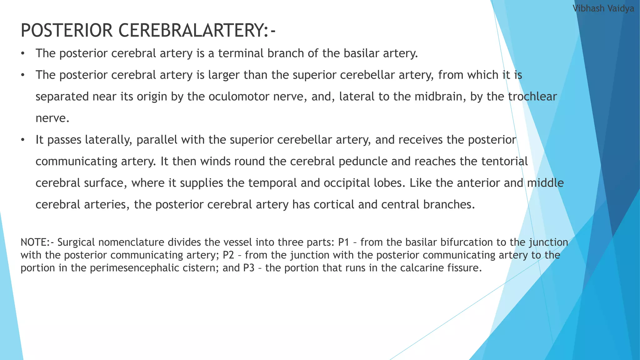 Blood supply of brain | PPTX