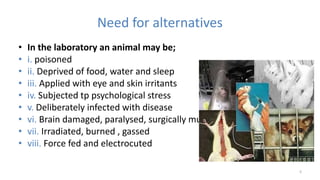 Aternatives to animal experimentation in pharmaceutical research (2) | PPTX
