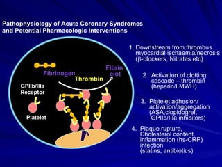 Aterogenesis Dr Fleming | PPT
