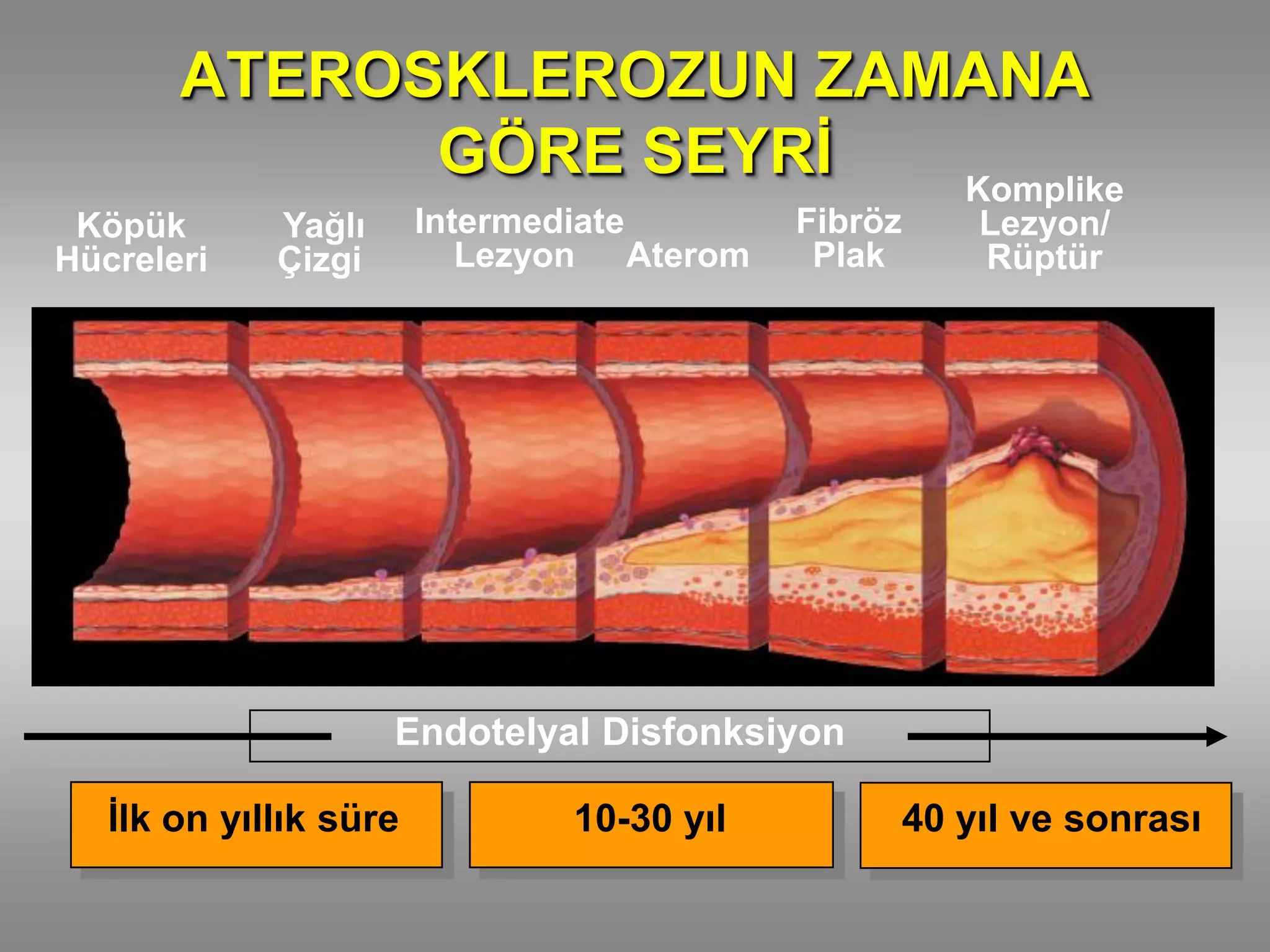 Ateroskleroz (fazlası için www.tipfakultesi.org) | PDF