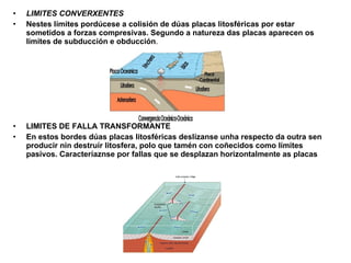 A terra sara martinez | PPT