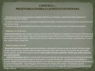 Atestat 18 Power Point Avanu | PPTX