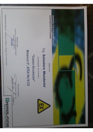 Atex certificate 1 | PDF