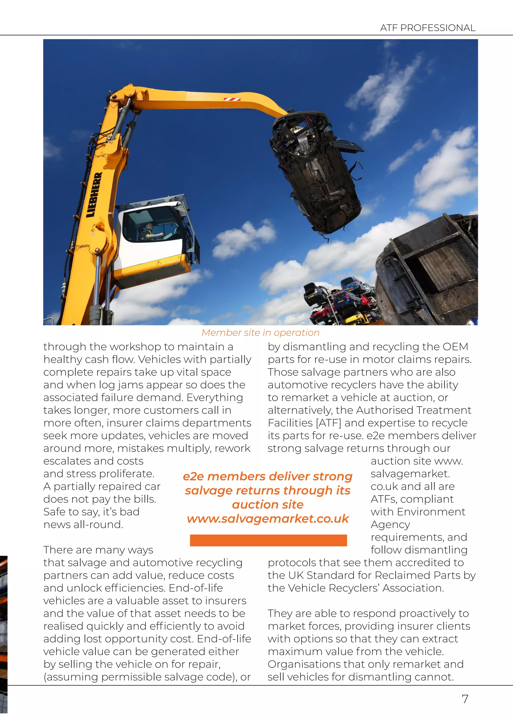 ATF Professional Magazine | PDF