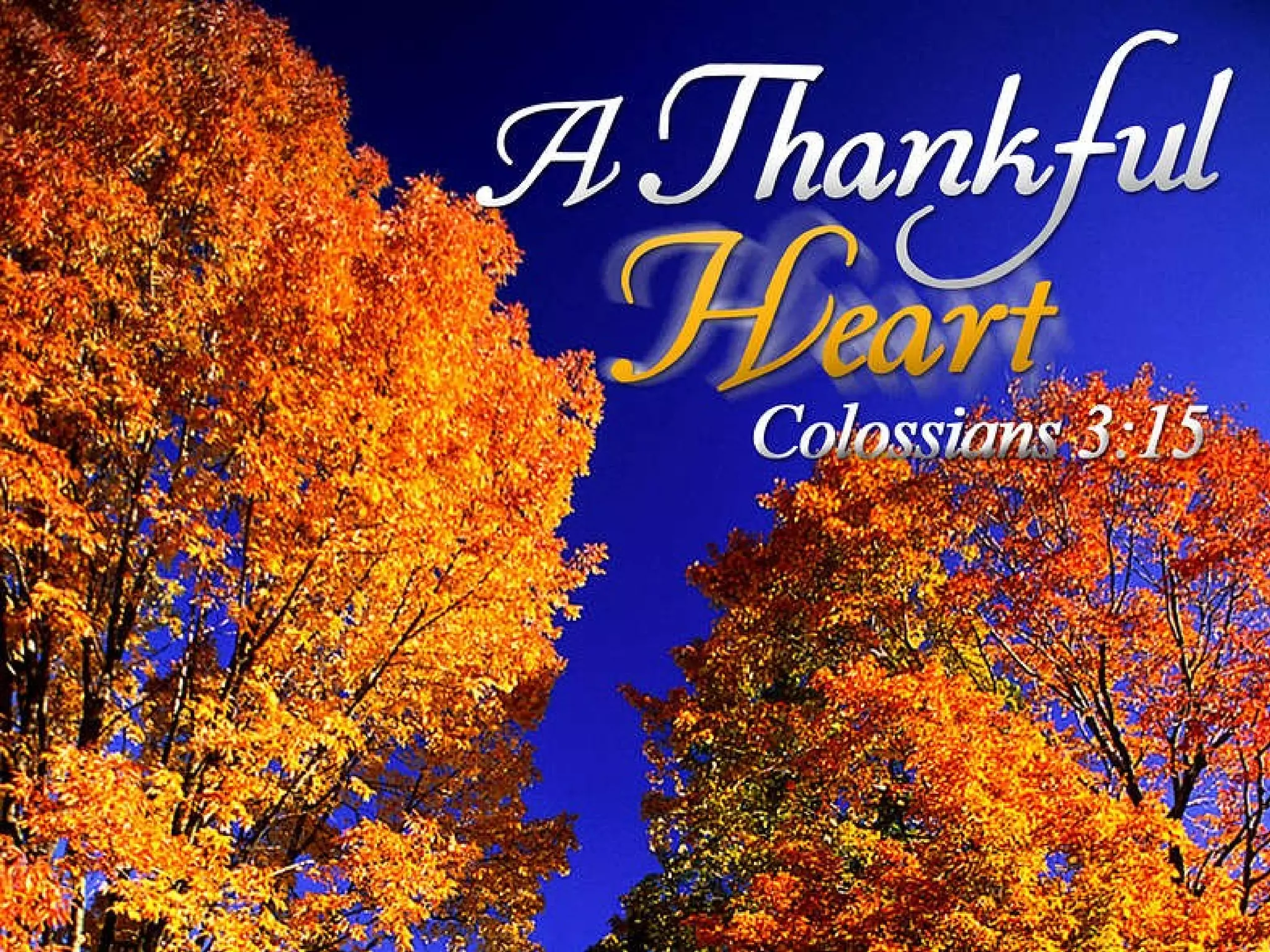 A Thankful Heart | PPT