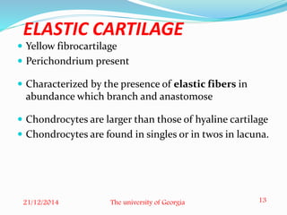 cartilage | PPTX
