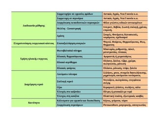 Athens healing garden Designm process | ODP