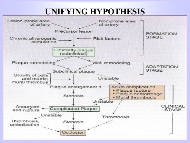 Atherosclerosis pathology mbbs