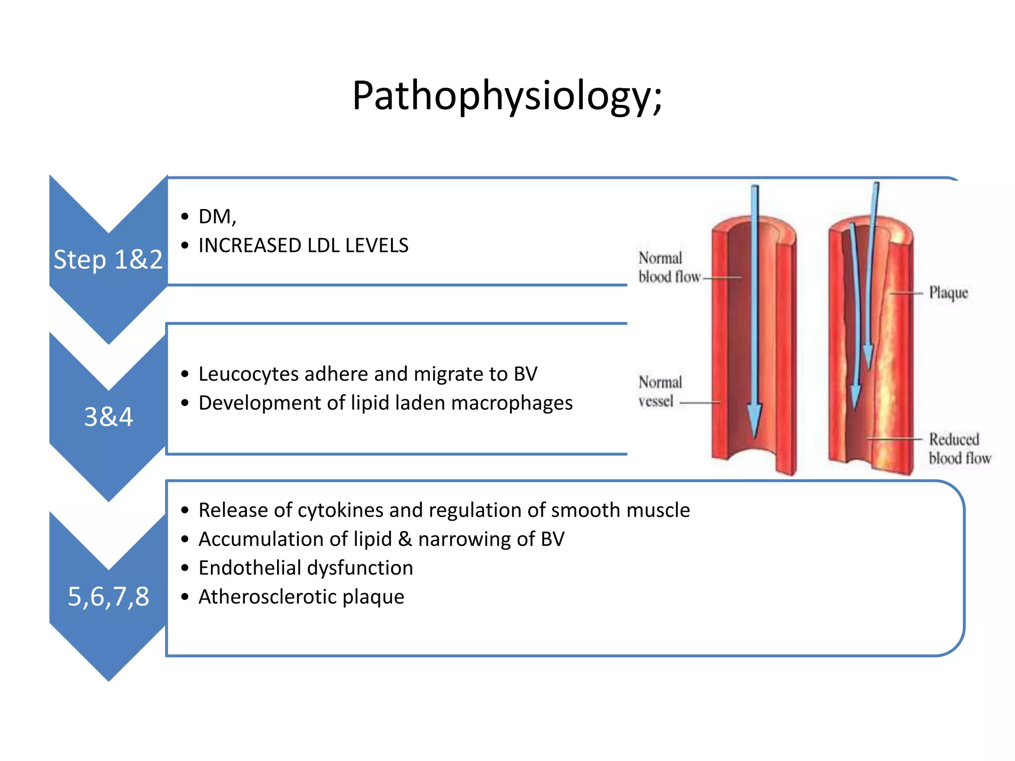 Atherosclerosis | PPTX
