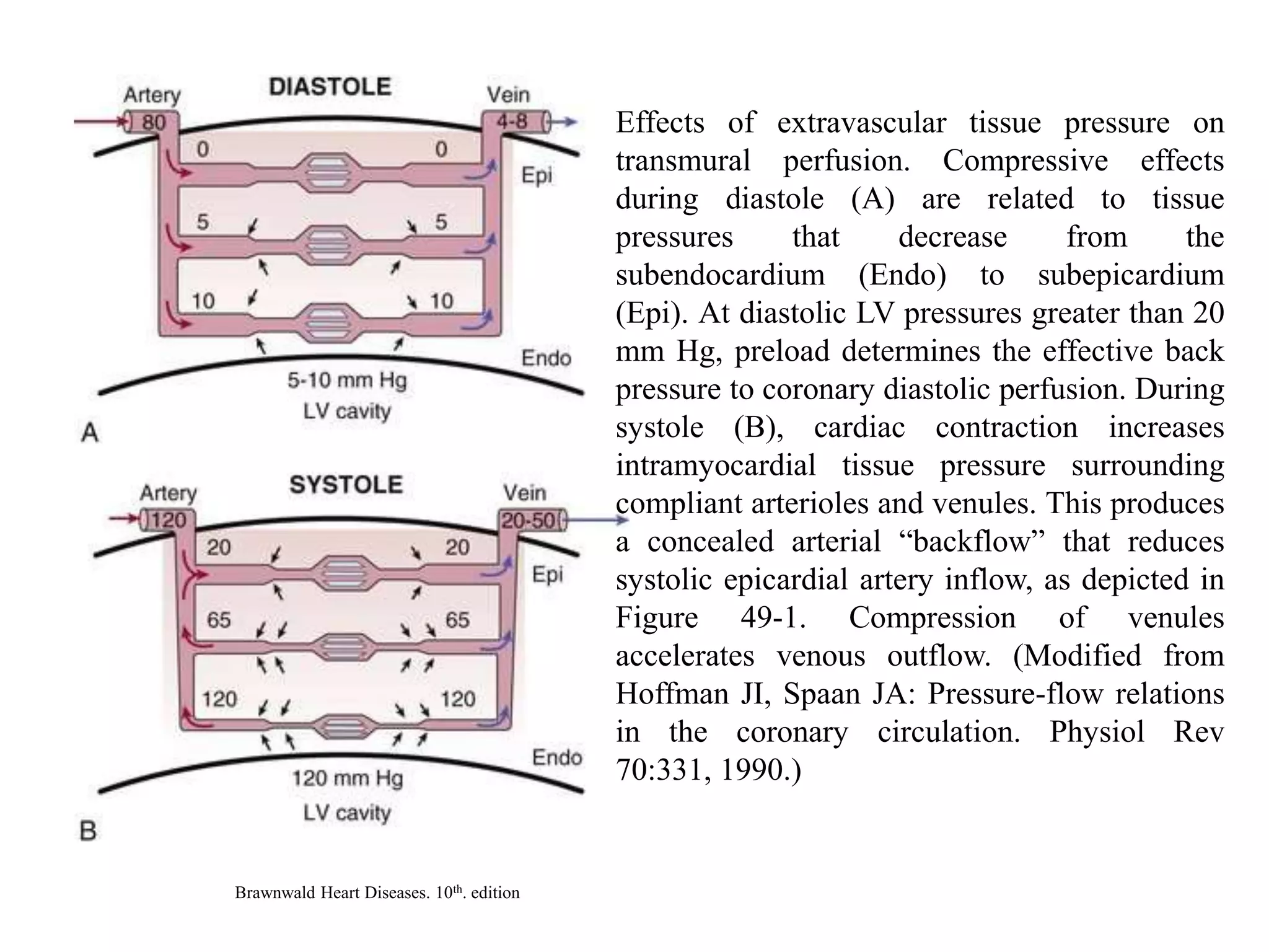 Atherosclerosis.ppt