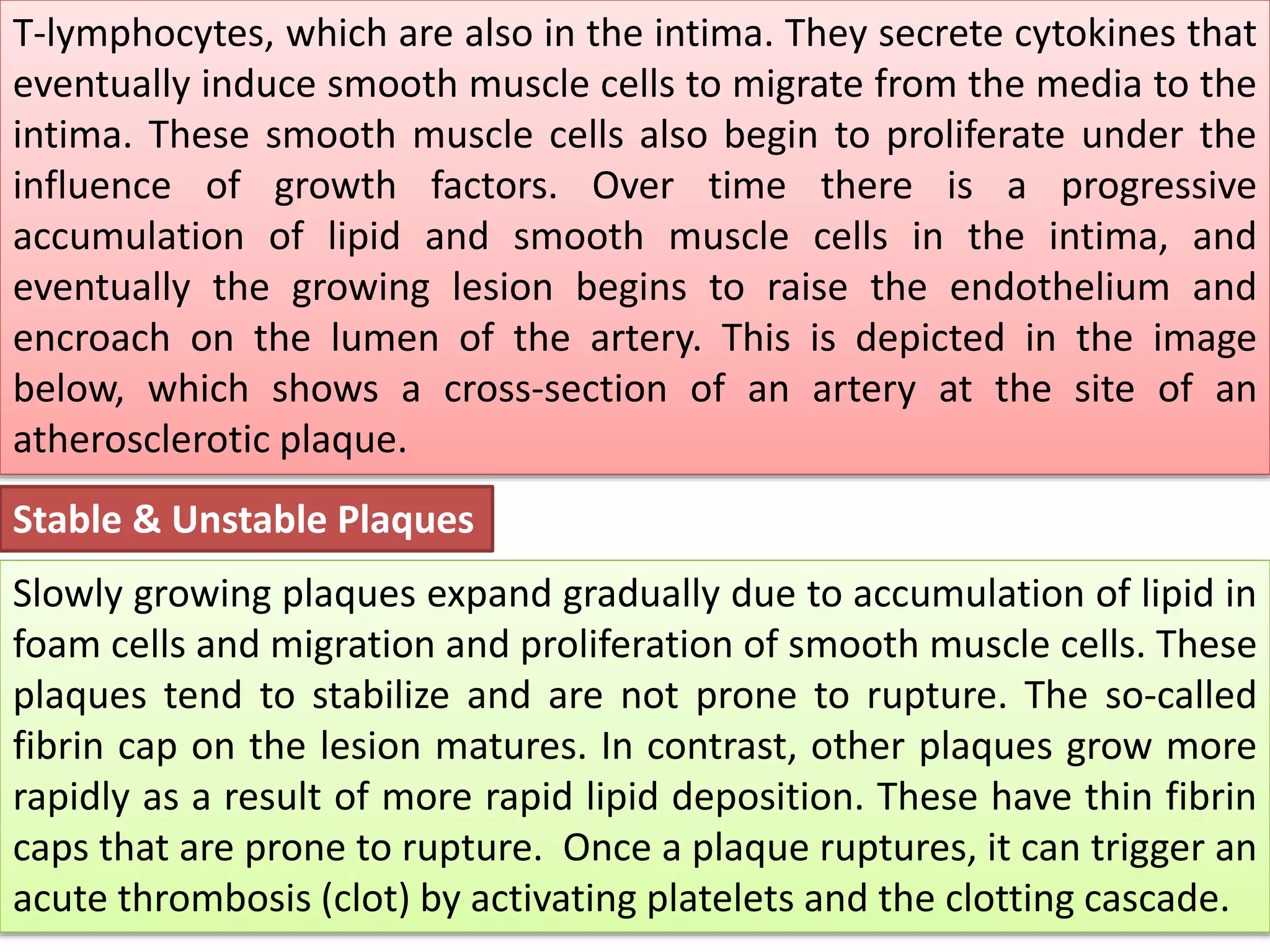 Atherosclerosis.pptx | Heart and Cardiovascular Diseases | Diseases and ...