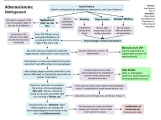 Atherosclerosis Detailed Pathophysiology | PPTX