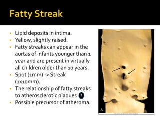 Atherosclerosis morphology | PPTX
