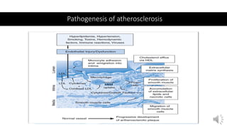 pathology of Atherosclerosis, dissection and aneurysm copy | PDF