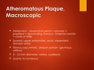 Atherosclerosis | PPT | Heart and Cardiovascular Diseases | Diseases ...