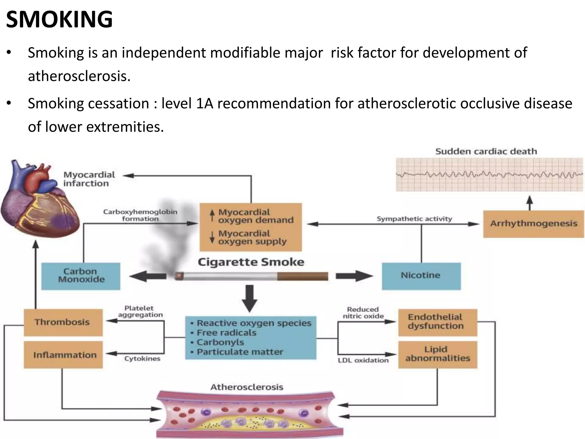 Atherosclerotic risk factors-smoking | PPTX