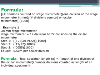 Micrometry | PPTX