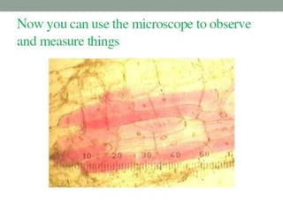 Micrometry | PPTX
