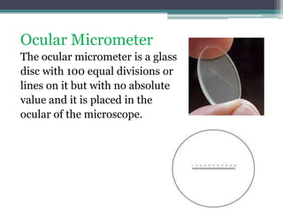 Micrometry | PPTX