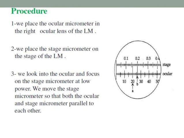 Micrometry | PPTX | Photography | Arts and Crafts