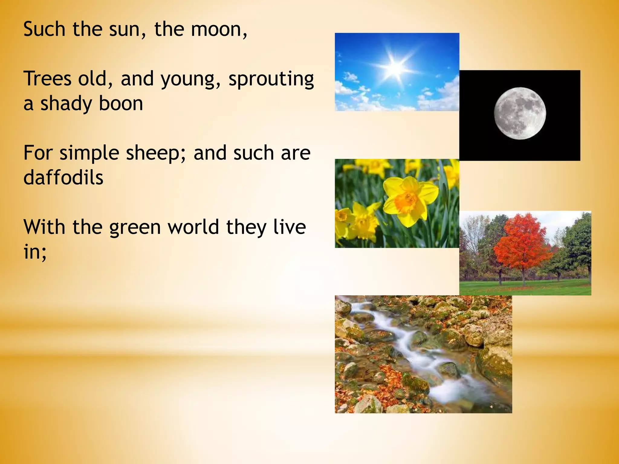 A thing of beauty | PPTX