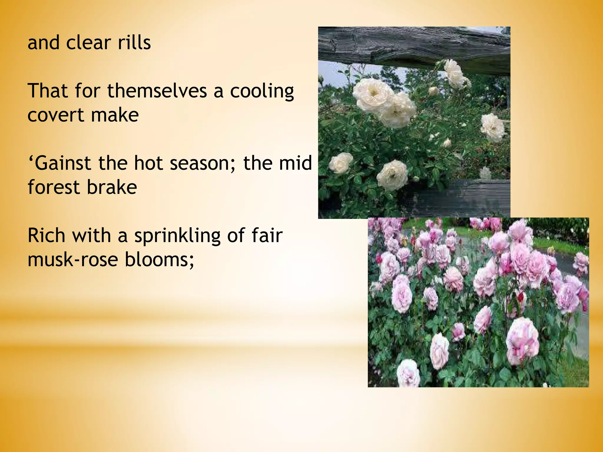 A thing of beauty | PPTX