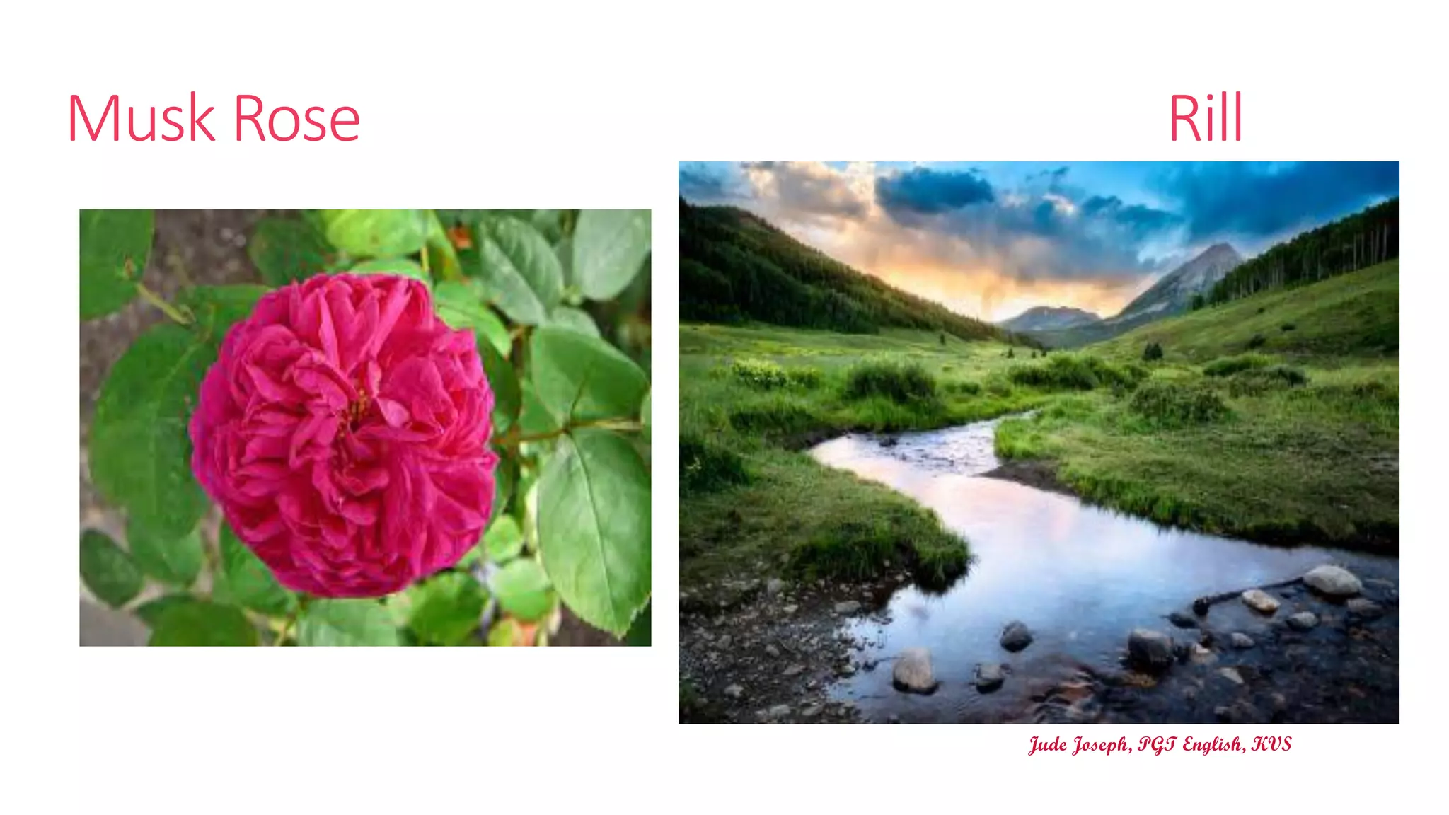 A Thing of Beauty.pdf