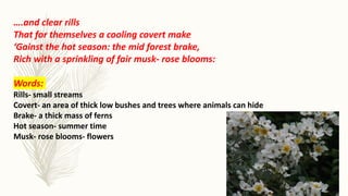 A thing of beauty is a joy forever | PPTX