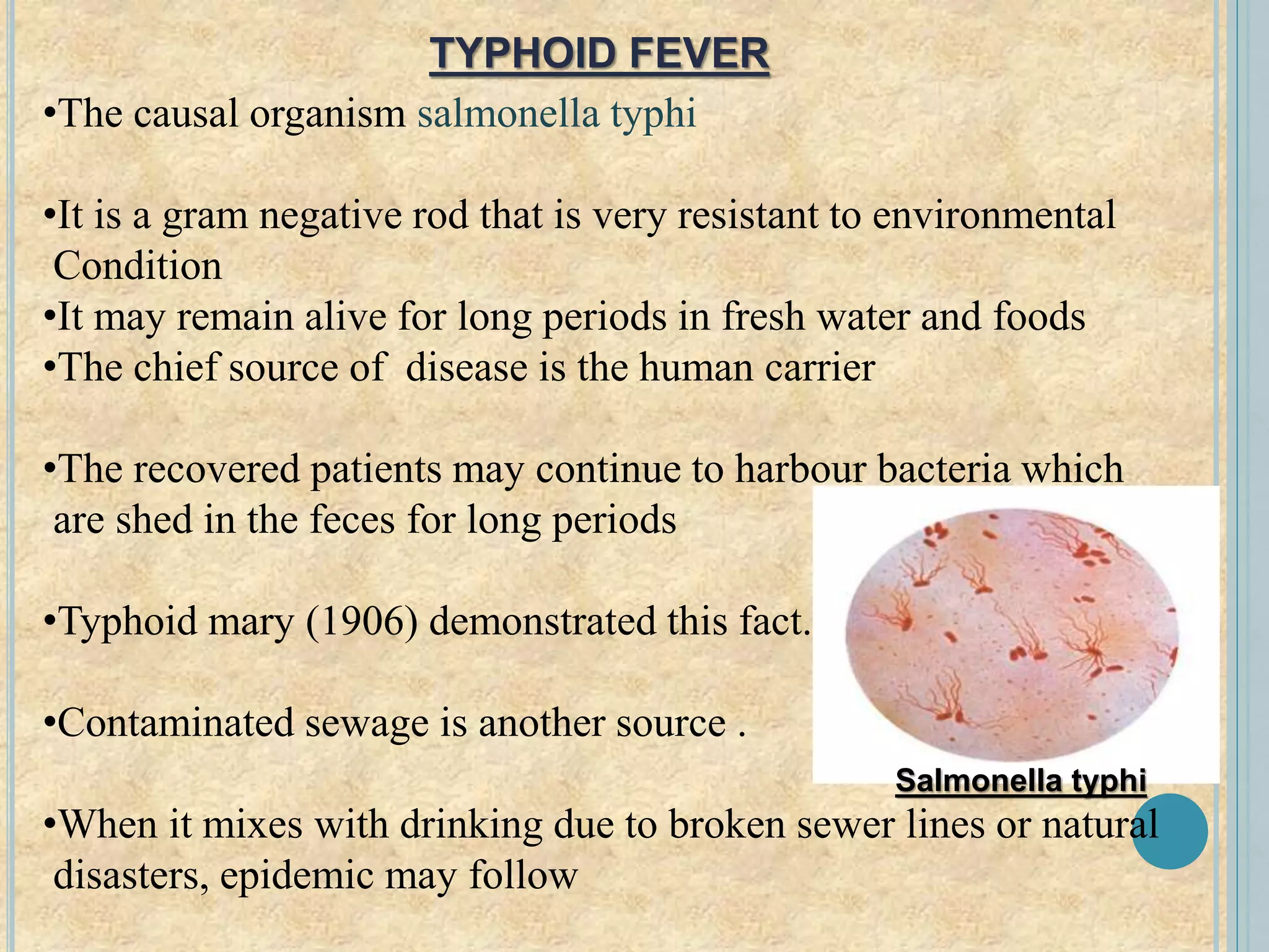 human diseases caused by bacteria strepto coccal diseases, | PPTX