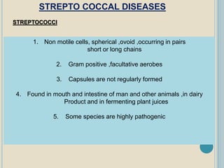 human diseases caused by bacteria strepto coccal diseases, | PPTX