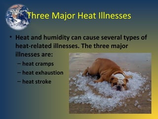 Heat Illness prevention, protection and recovery | PPT