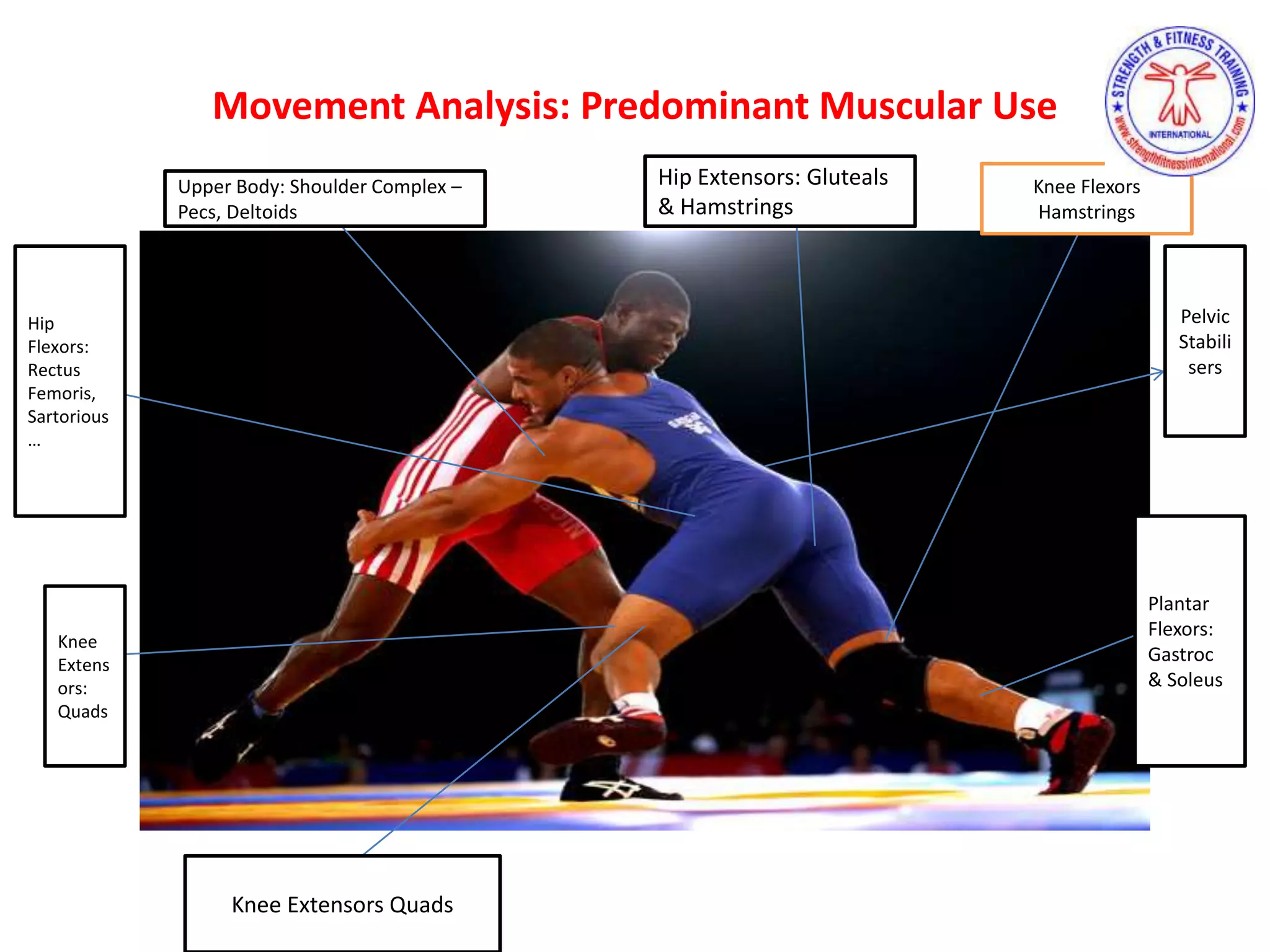 Wrestling Athlete needs analysis | PPTX
