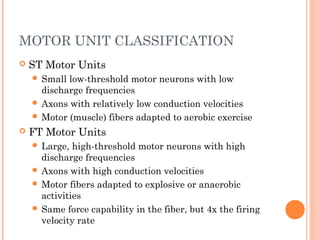 Athlete Specific Strength Training Lecture | PPT