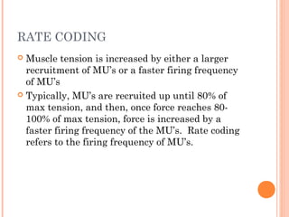 Athlete Specific Strength Training Lecture | PPT