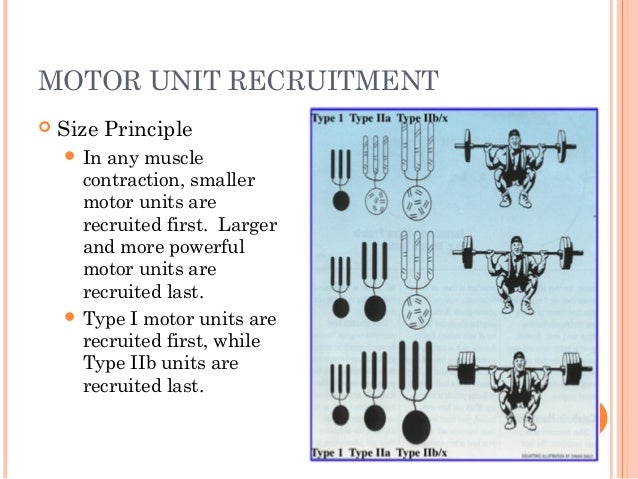 Athlete Specific Strength Training Lecture