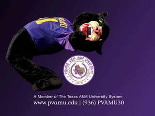 Prairie View A&M Sports Complex/Football Stadium Presentation | PPTX ...