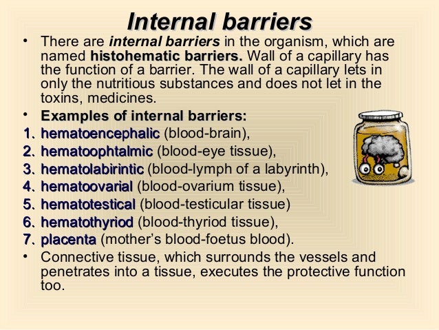 Pathology of immune reactivity