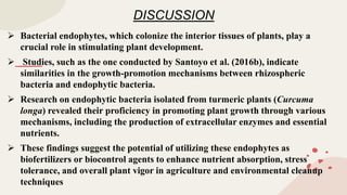 STUDY OF PLANT GROWTH PROMOTING ACTIVITIES OF ENDOPHYTES ISOLATED FROM ...